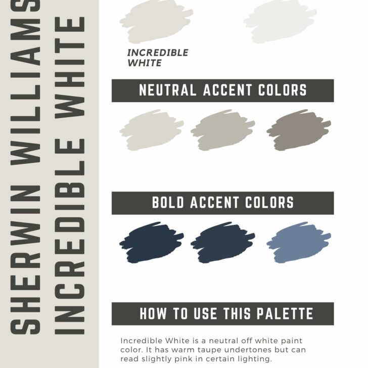 White – The Paint Color Project