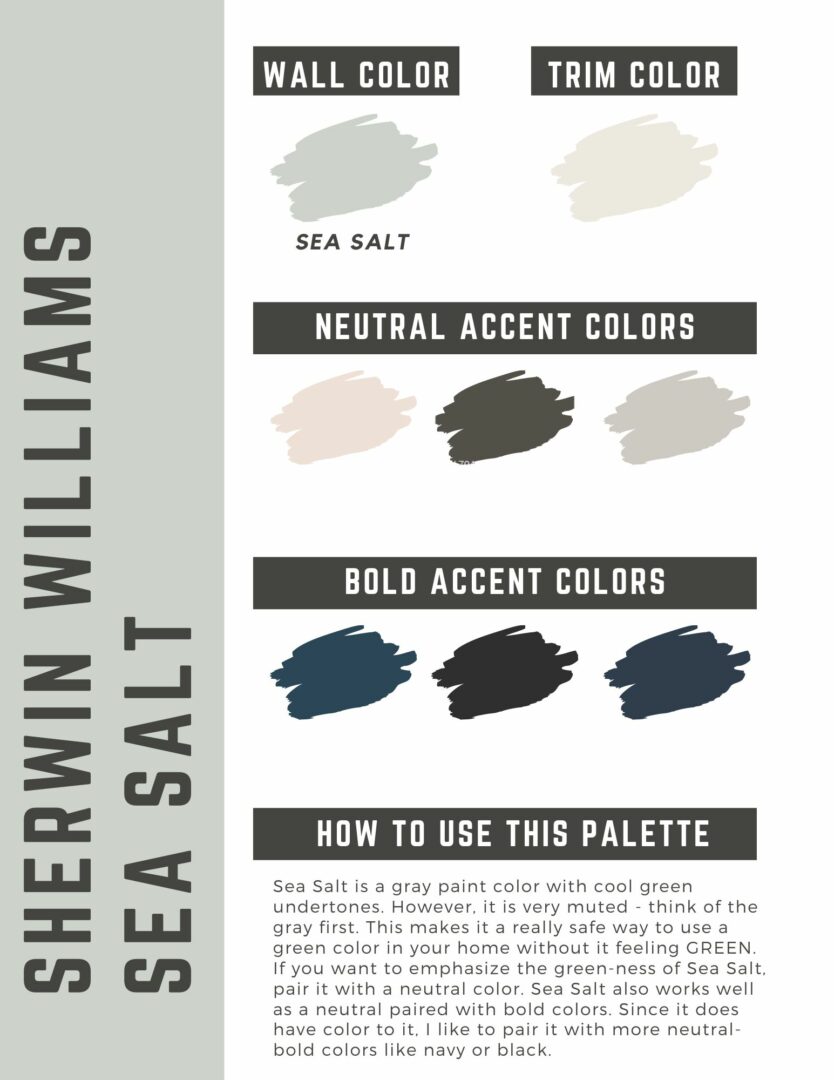 Sherwin Williams Sea Salt Paint Color Palette - The Paint Color Project