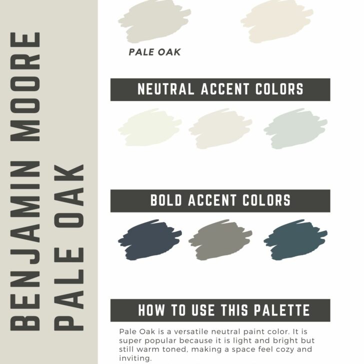 Revere Pewter Color Palette Bundle - The Paint Color Project