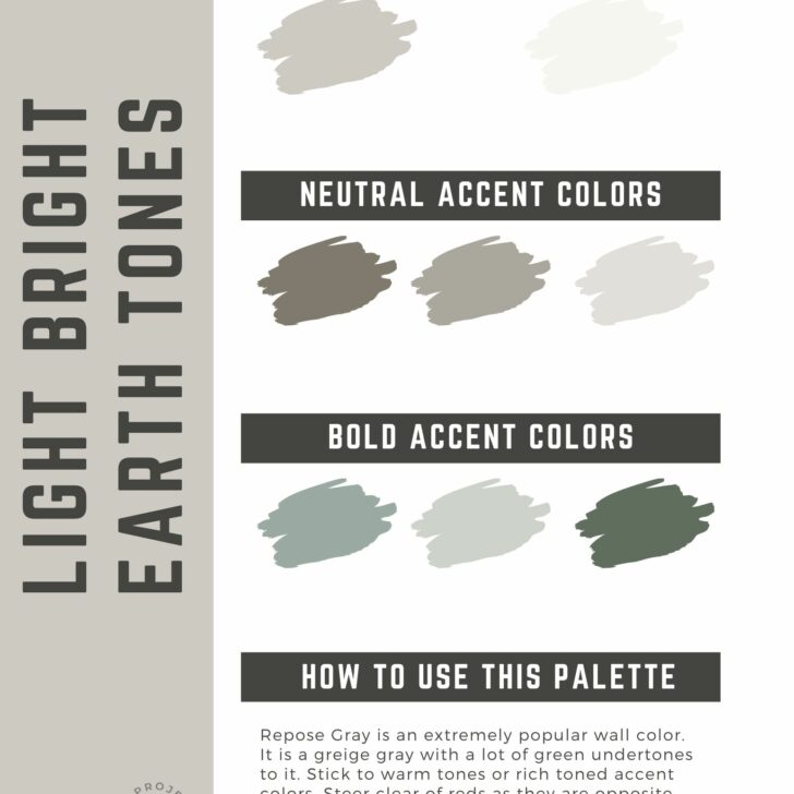 Earth Tones Archives - The Paint Color Project