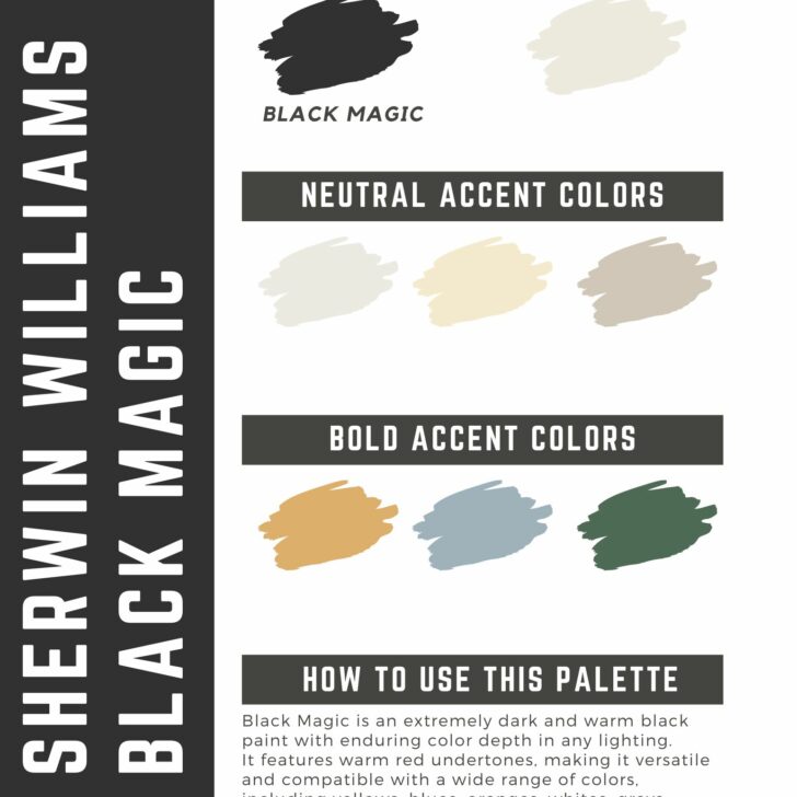 Sherwin Williams Icy Paint Color Palette - The Paint Color Project