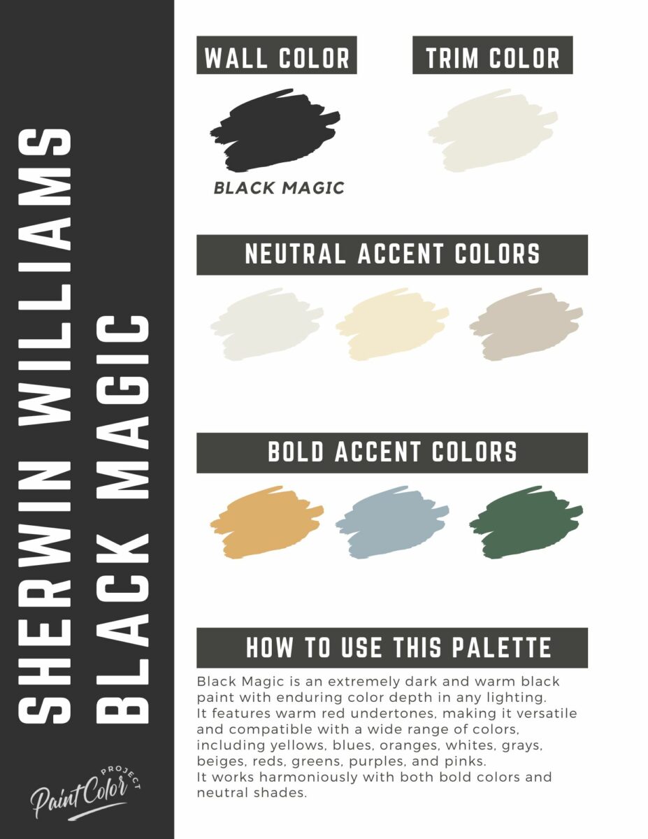 Sherwin Williams Black Magic Paint Color Palette - The Paint Color Project