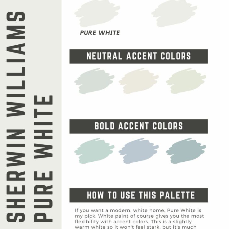 Sherwin Williams Sea Salt Paint Color Palette - The Paint Color Project