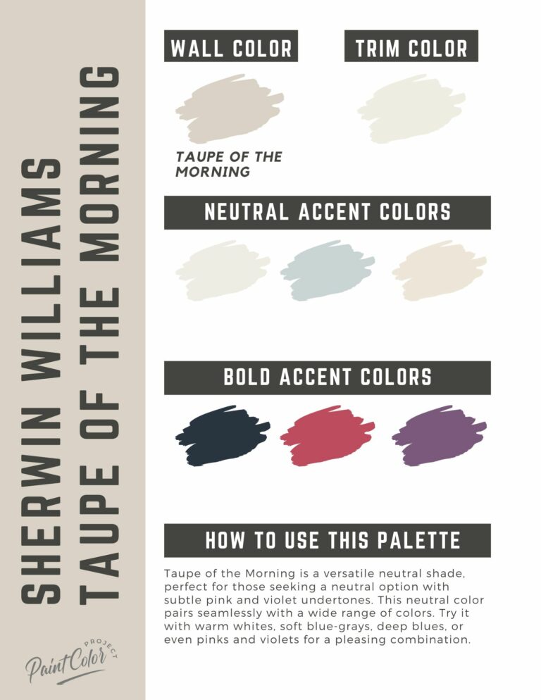 Sherwin Williams Taupe of the Morning Paint Color Palette - The Paint ...