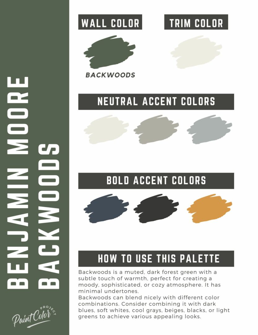 Benjamin Moore Backwoods Paint Color Palette - The Paint Color Project