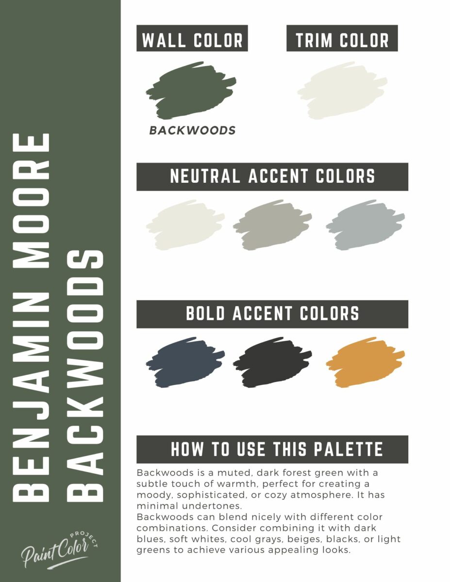 Benjamin Moore Backwoods Paint Color Palette - The Paint Color Project