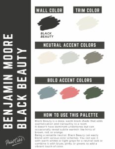 Benjamin Moore Black Beauty Paint Color Palette - The Paint Color Project