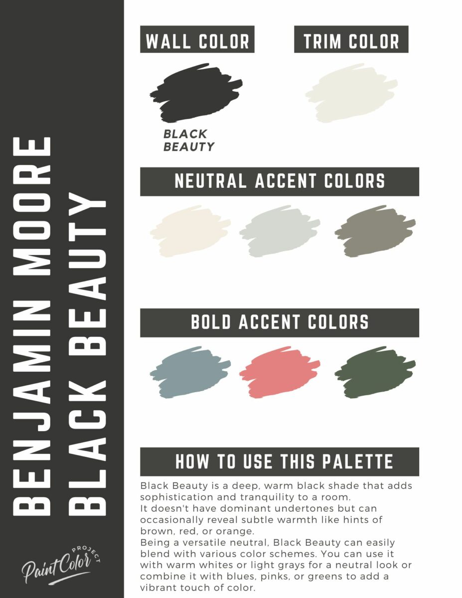 Benjamin Moore Black Beauty Paint Color Palette - The Paint Color Project