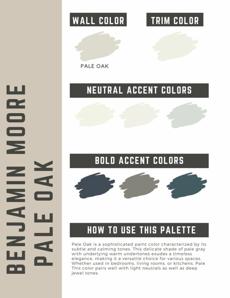 Benjamin Moore Pale Oak Paint Color Palette - traditional - The Paint ...