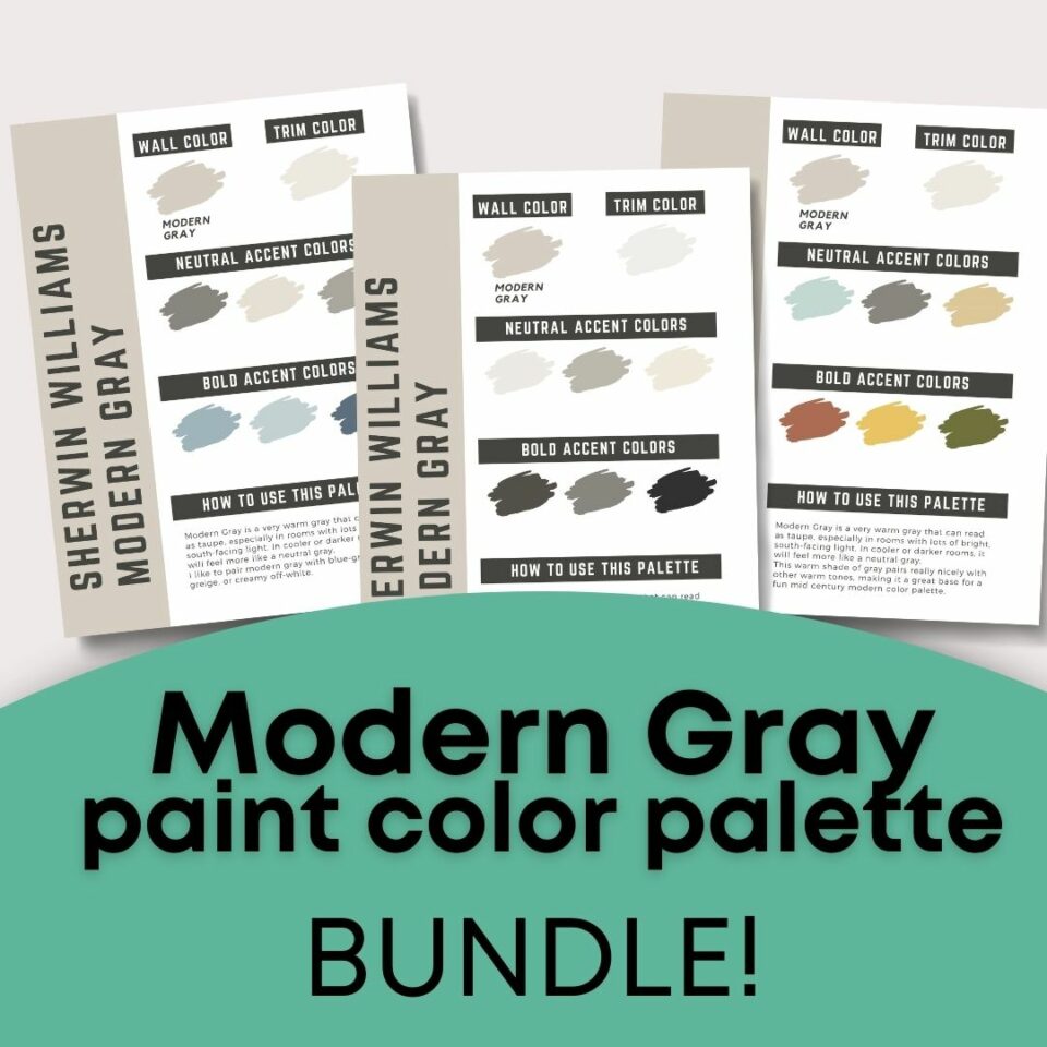 Modern Gray Color Palette Bundle - The Paint Color Project