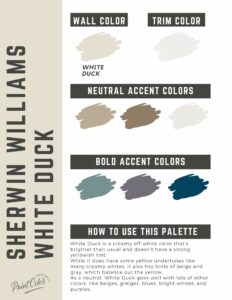 Sherwin Williams White Duck Paint Color Palette - The Paint Color Project
