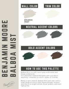 Benjamin Moore Balboa Mist Paint Color Palette - The Paint Color Project