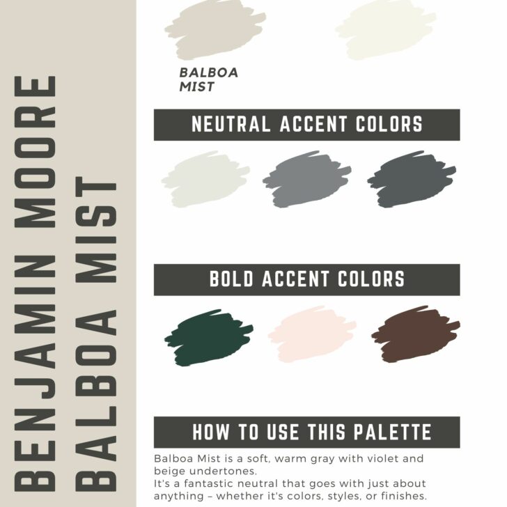 Benjamin Moore – The Paint Color Project