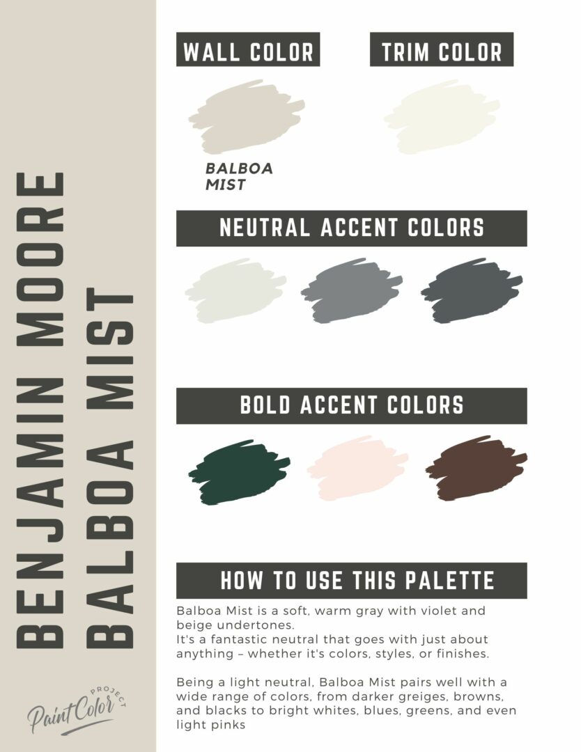 Benjamin Moore Balboa Mist Paint Color Palette - The Paint Color Project