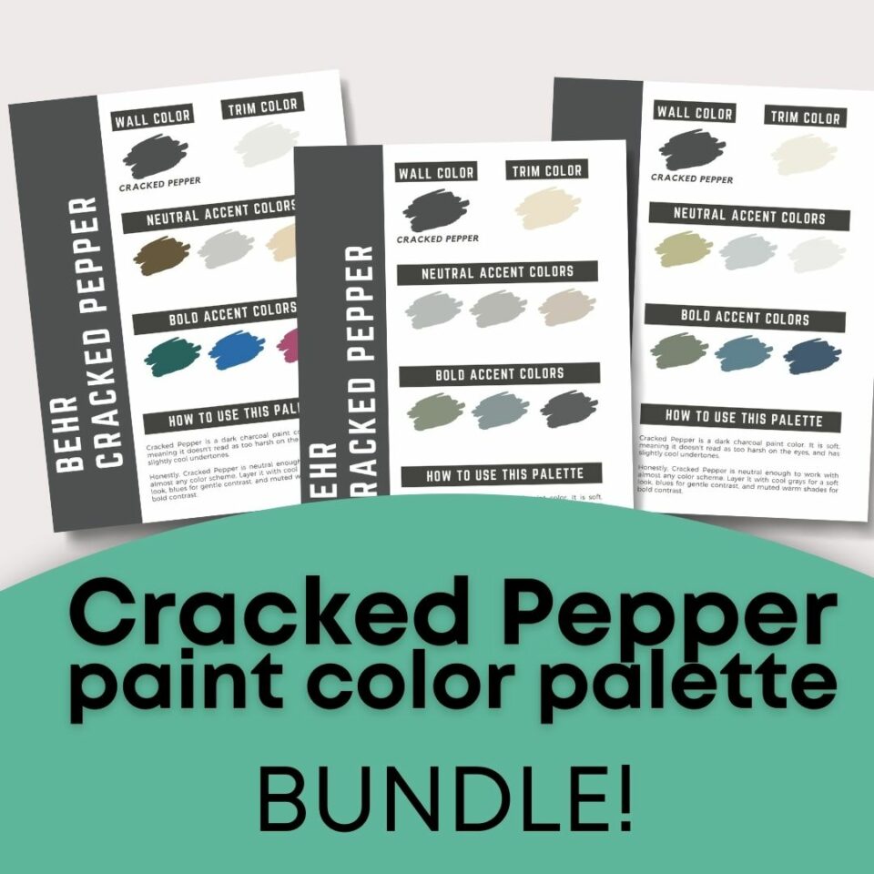 Behr Cracked Pepper Color Palette Bundle - The Paint Color Project