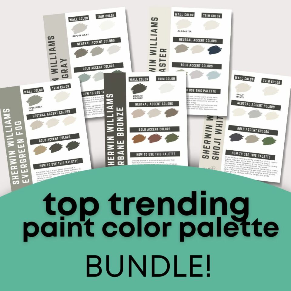Trending Paint Color Bundle - The Paint Color Project