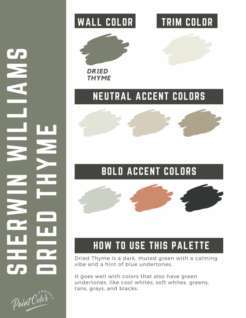 Sherwin Williams Dried Thyme Paint Color Palette - The Paint Color Project