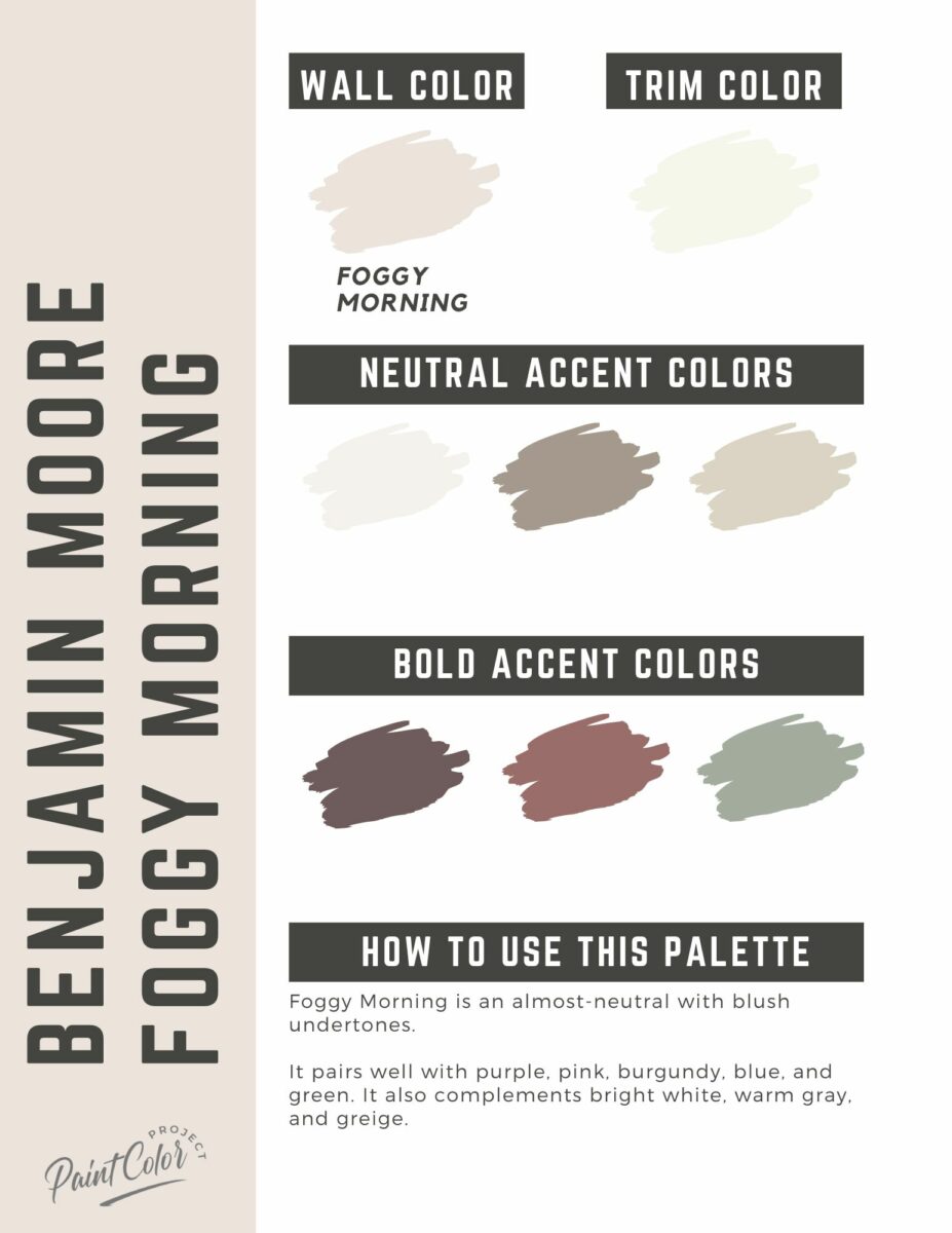 Benjamin Moore Foggy Morning Paint Color Palette - The Paint Color Project