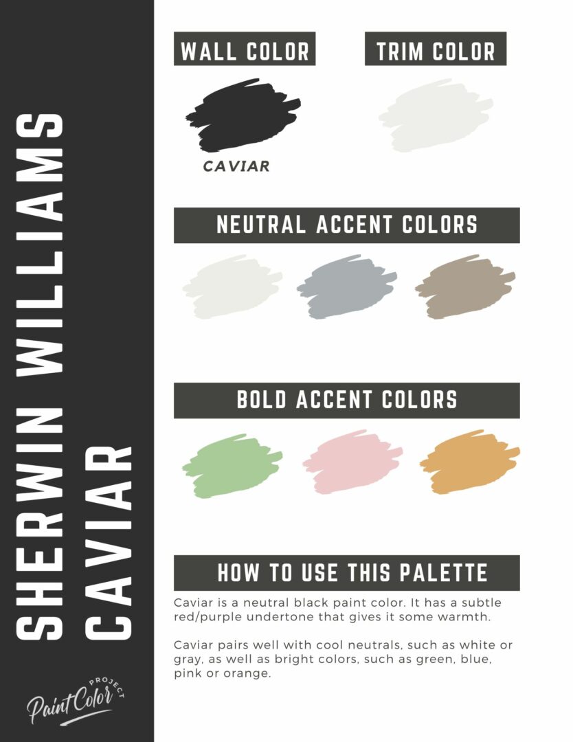 Sherwin Williams Caviar Paint Color Palette - The Paint Color Project