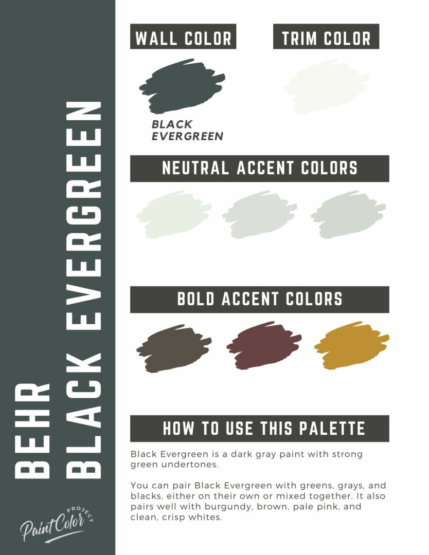 Behr Black Evergreen Paint Color Palette - The Paint Color Project