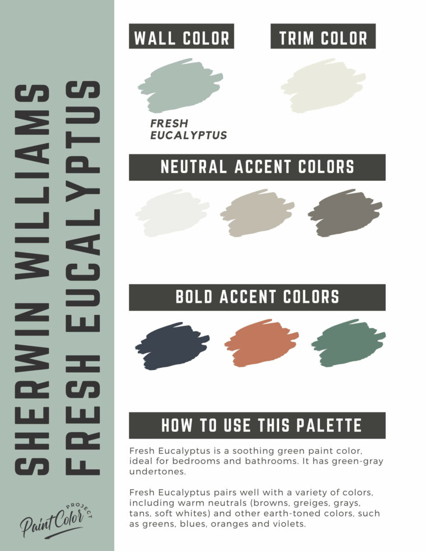 Sherwin Williams Fresh Eucalyptus Paint Color Palette - The Paint Color ...