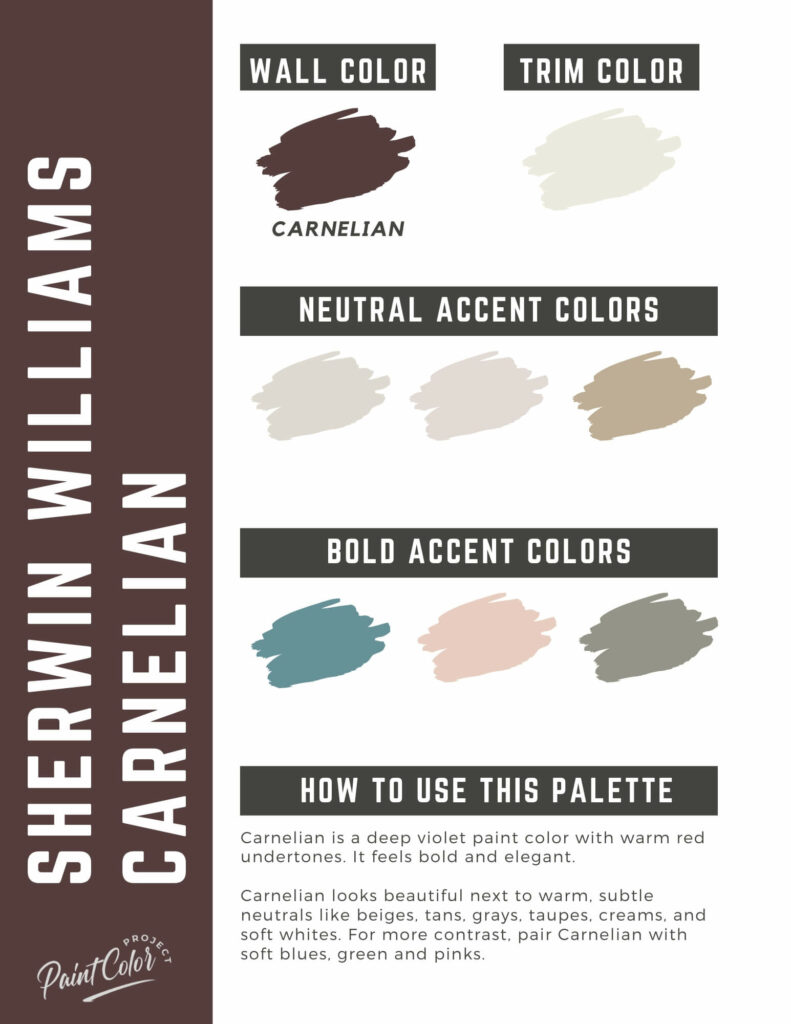 Sherwin Williams Carnelian Paint Color Palette - The Paint Color Project