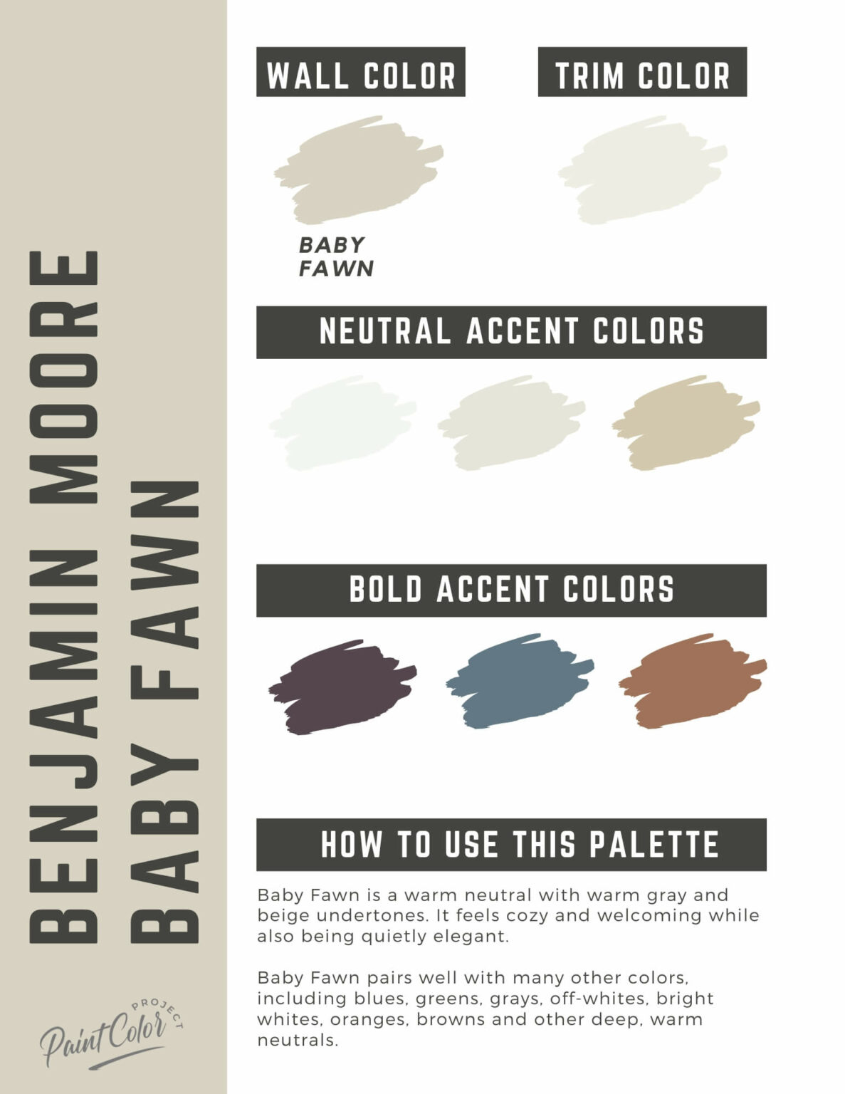 Benjamin Moore Baby Fawn Paint Color Palette - The Paint Color Project