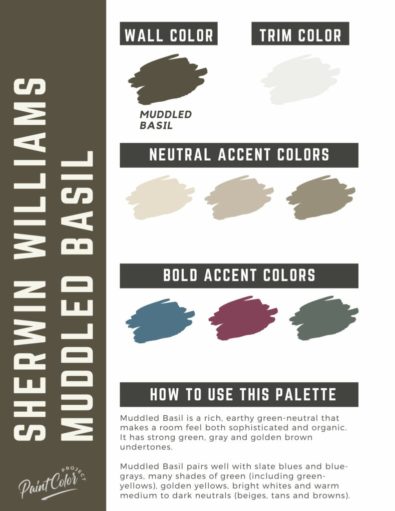 Sherwin Williams Muddled Basil Paint Color Palette - The Paint Color ...