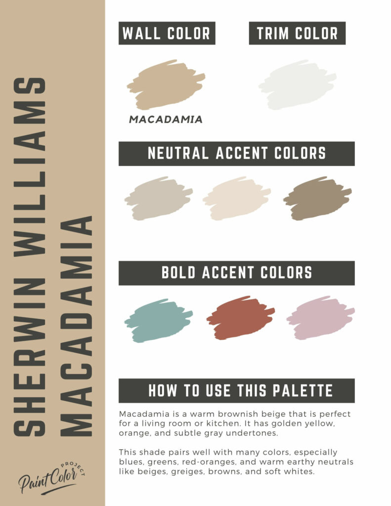 Sherwin Williams Macadamia Paint Color Palette - The Paint Color Project