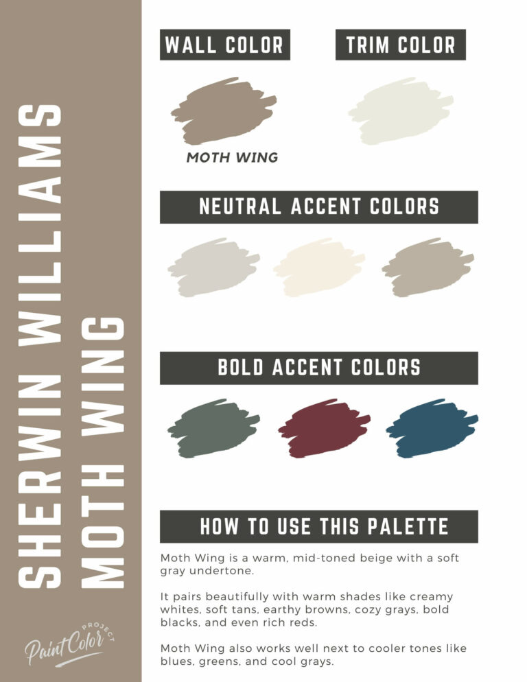 Sherwin Williams Moth Wing Paint Color Palette - The Paint Color Project