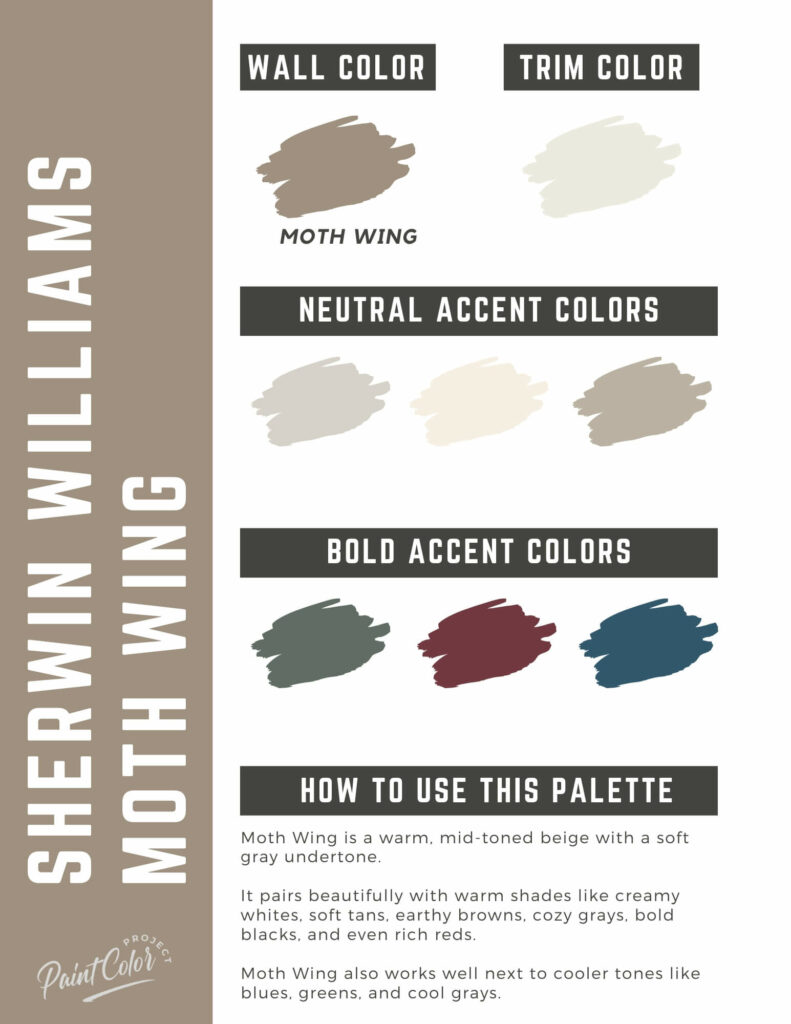 Sherwin Williams Moth Wing Paint Color Palette - The Paint Color Project
