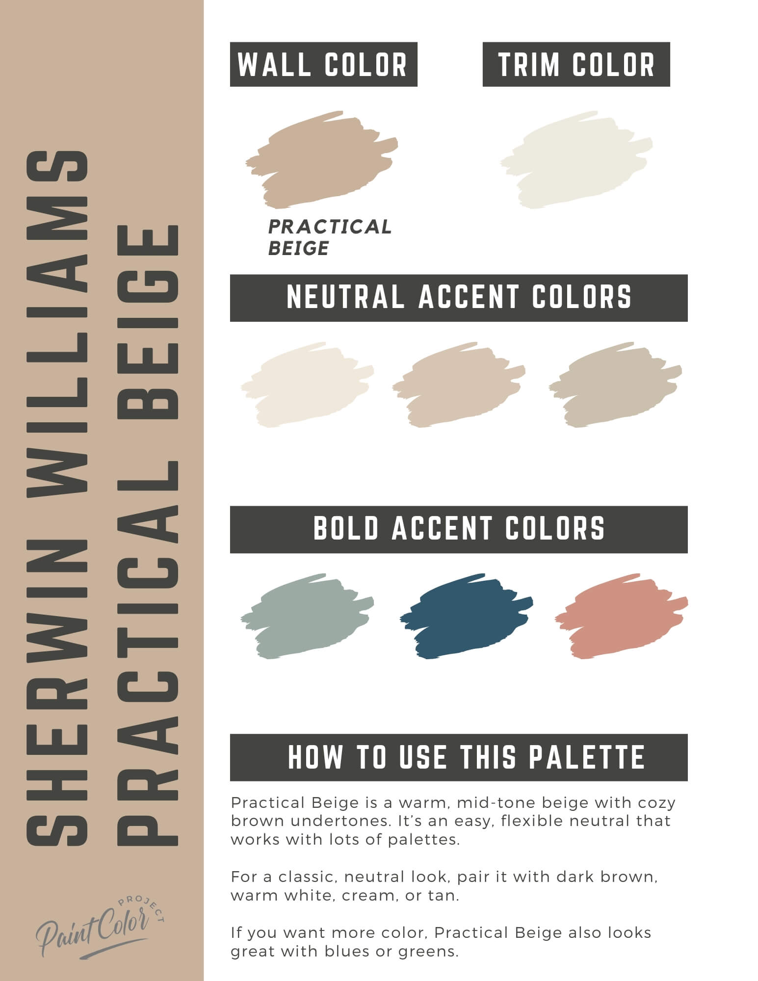 Sherwin Williams Practical Beige Paint Color Palette - The Paint Color ...